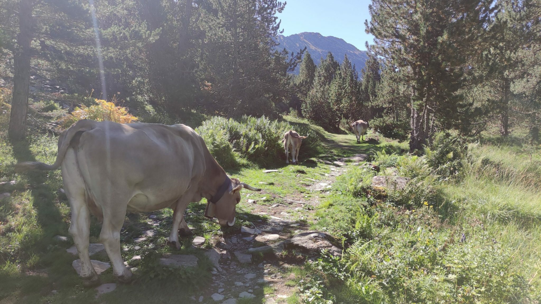 Circ de Colomèrs: ruta de los 7 lagos • planDviajero